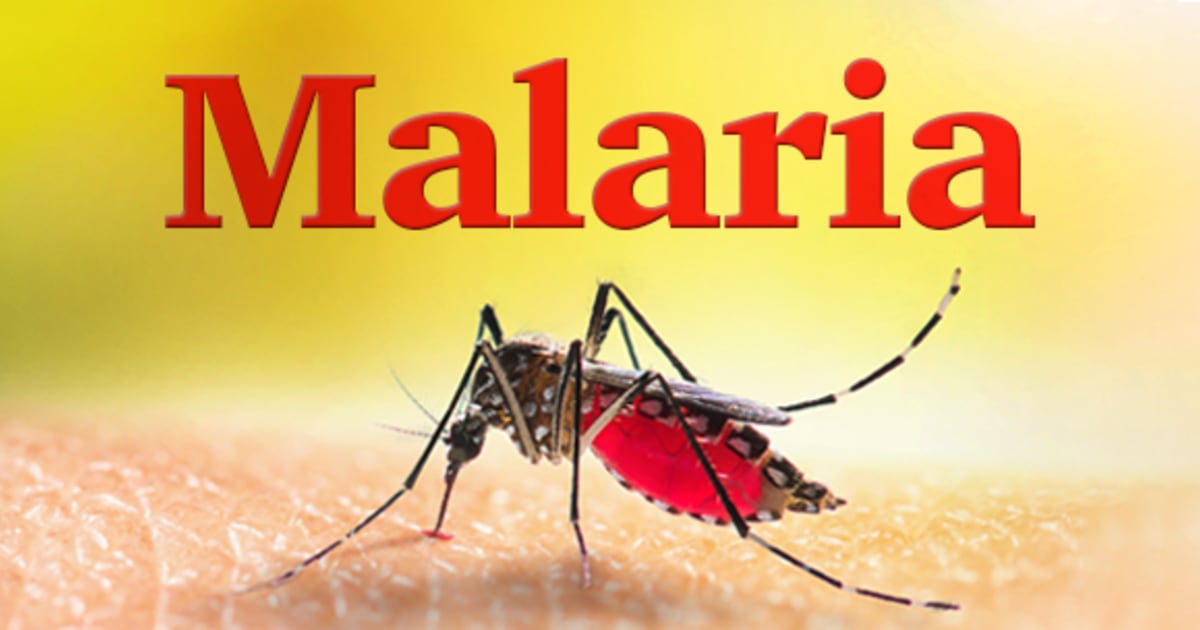 Facts about malaria | Baptist Health | Jacksonville, FL